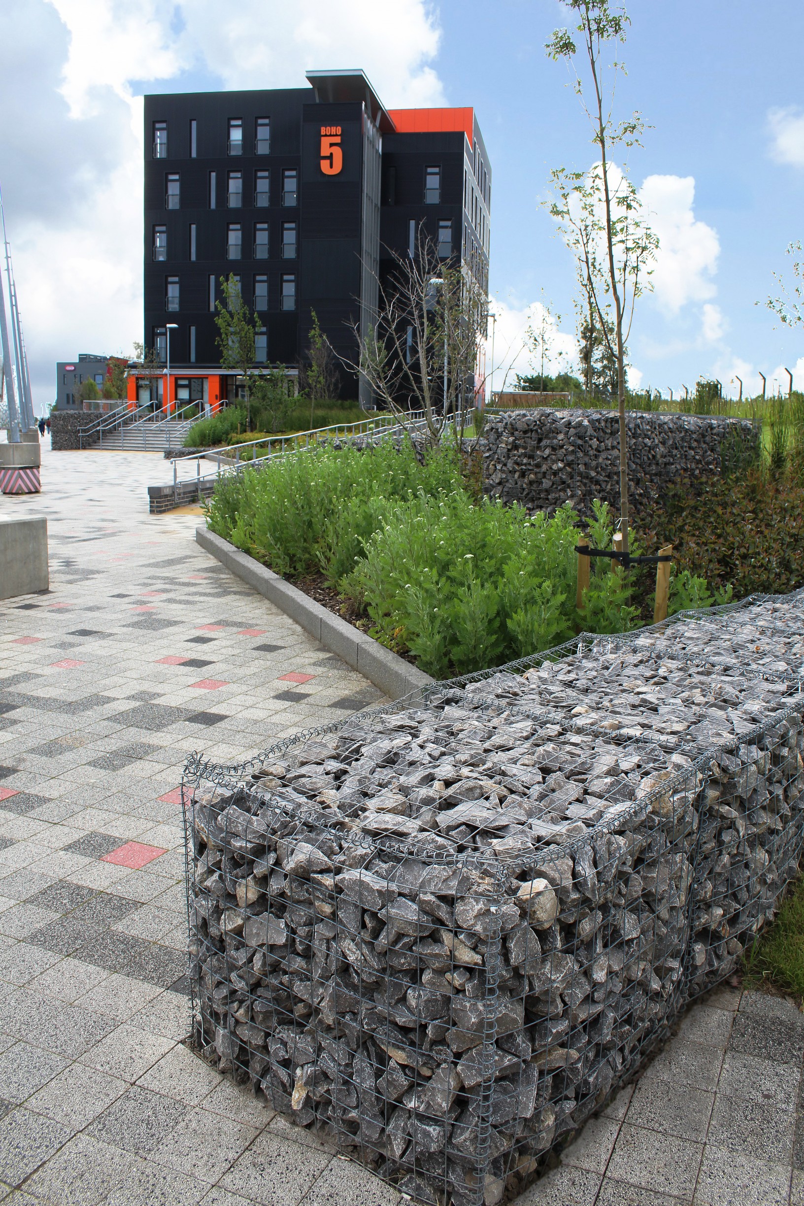 Boho 5 | Southern Green